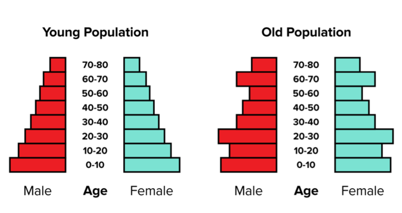 Social Inequality and Demographics for the MCAT: Everything You Need to ...