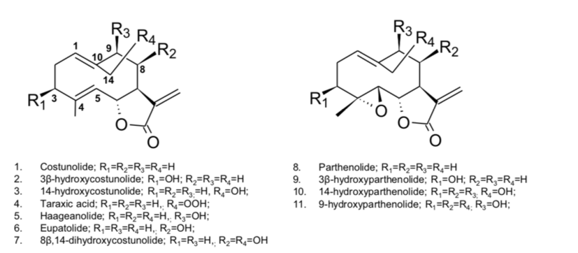 MCAT Chemistry Practice Questions — Shemmassian Academic Consulting