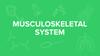 Musculoskeletal System for the MCAT: Everything You Need to Know ...