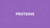 Proteins for the MCAT: Everything You Need to Know — Shemmassian ...