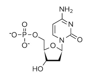 DNA for the MCAT: Everything You Need to Know — Shemmassian Academic ...