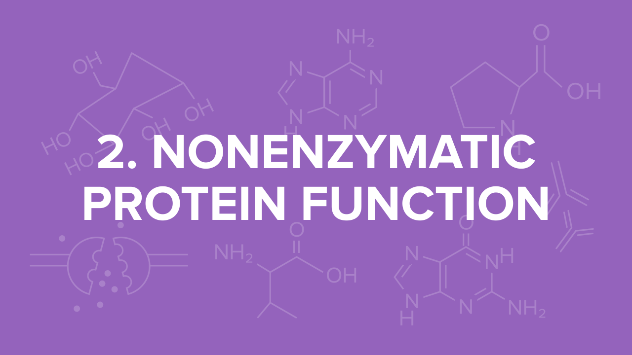 MCAT Biochemistry: Everything You Need to Know — Shemmassian Academic ...