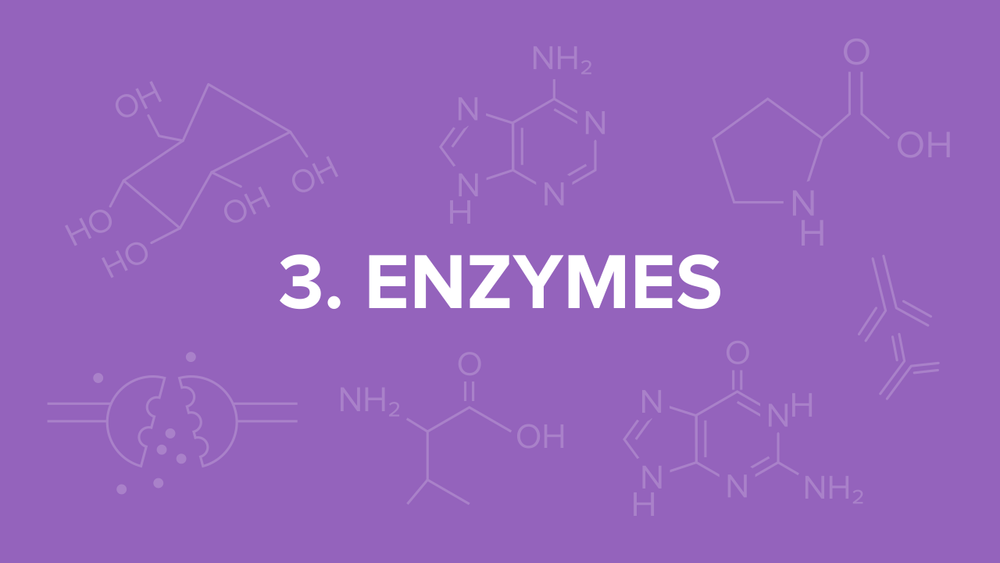 MCAT Biochemistry: Everything You Need to Know — Shemmassian Academic ...
