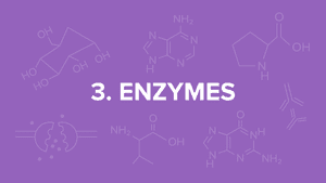 MCAT Biochemistry: Everything You Need to Know — Shemmassian Academic ...
