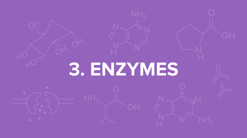 MCAT Biochemistry: Everything You Need to Know — Shemmassian Academic ...