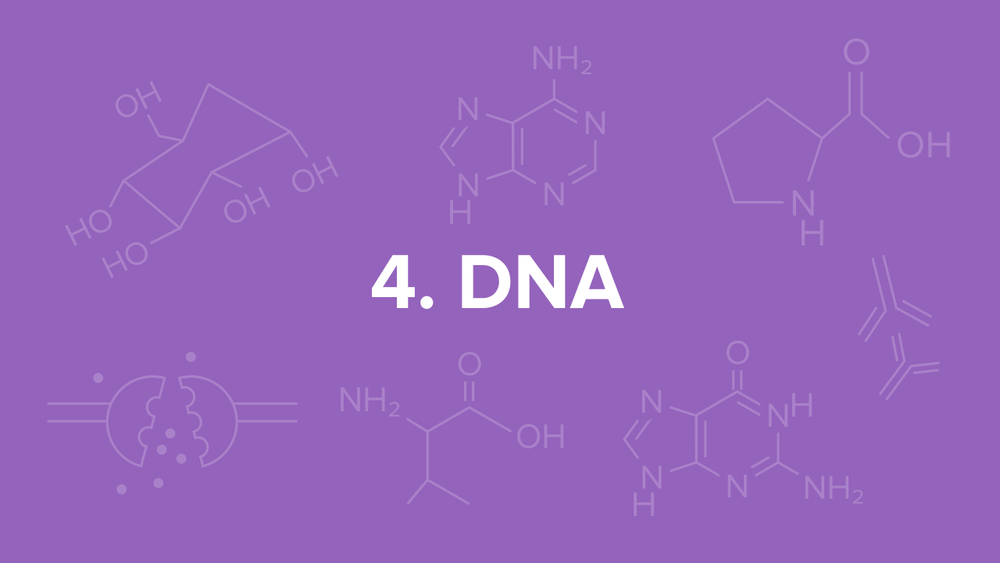 MCAT Biochemistry: Everything You Need to Know — Shemmassian Academic ...