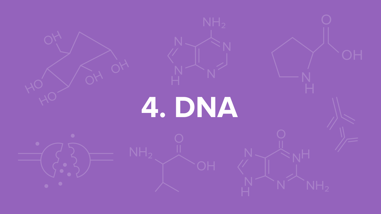 MCAT Biochemistry: Everything You Need to Know — Shemmassian Academic ...