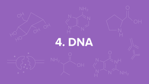 MCAT Biochemistry: Everything You Need to Know — Shemmassian Academic ...
