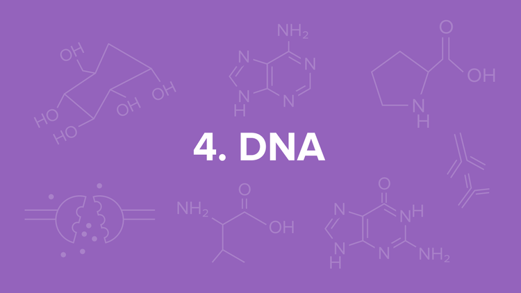 MCAT Biochemistry: Everything You Need to Know — Shemmassian Academic ...