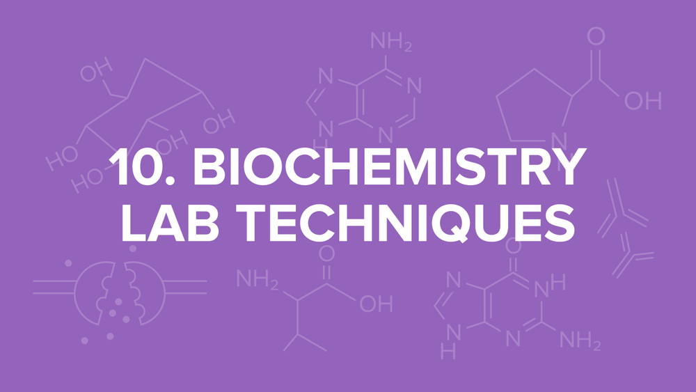 MCAT Biochemistry: Everything You Need to Know — Shemmassian Academic ...