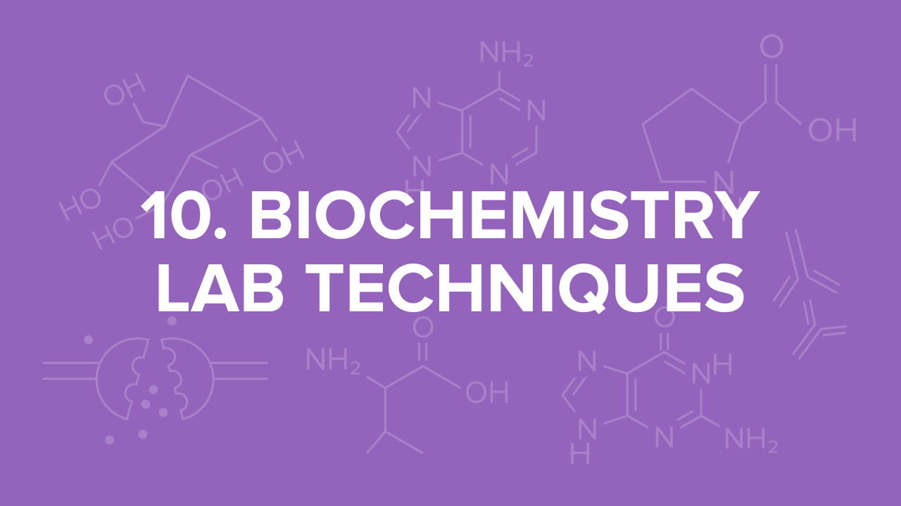 MCAT Biochemistry: Everything You Need to Know — Shemmassian Academic ...