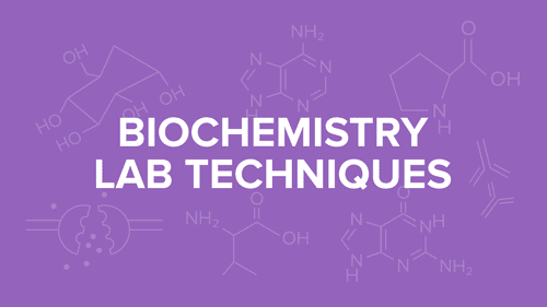 Biochemistry Lab Techniques for the MCAT: Everything You Need to Know ...