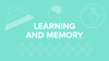 Learning and Memory for the MCAT: Everything You Need to Know ...