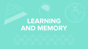 Learning and Memory for the MCAT: Everything You Need to Know ...