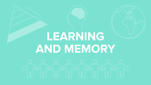Learning and Memory for the MCAT: Everything You Need to Know ...