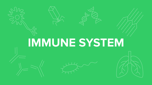 Immune System for the MCAT: Everything You Need to Know — Shemmassian ...
