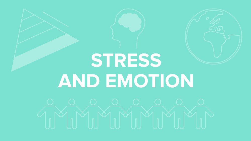 Stress and Emotion for the MCAT: Everything You Need to Know ...