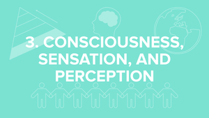 MCAT Psychology and Sociology: Everything You Need to Know ...
