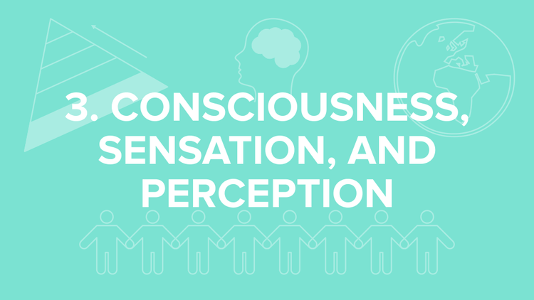 MCAT Psychology and Sociology: Everything You Need to Know ...
