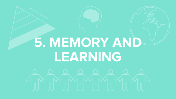 MCAT Psychology and Sociology: Everything You Need to Know ...