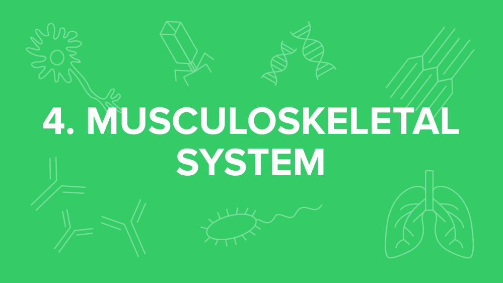 MCAT Biology: Everything You Need to Know — Shemmassian Academic Consulting
