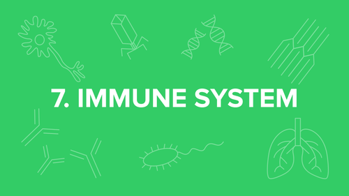 MCAT Biology: Everything You Need to Know — Shemmassian Academic Consulting