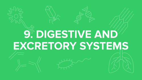 MCAT Biology: Everything You Need to Know — Shemmassian Academic Consulting