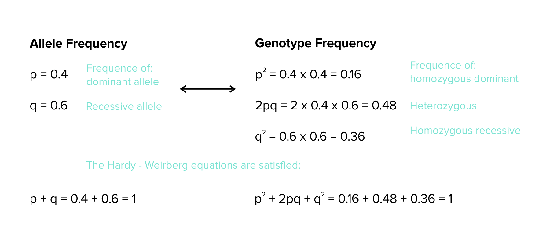 Genetics and Evolution for the MCAT: Everything You Need to Know ...