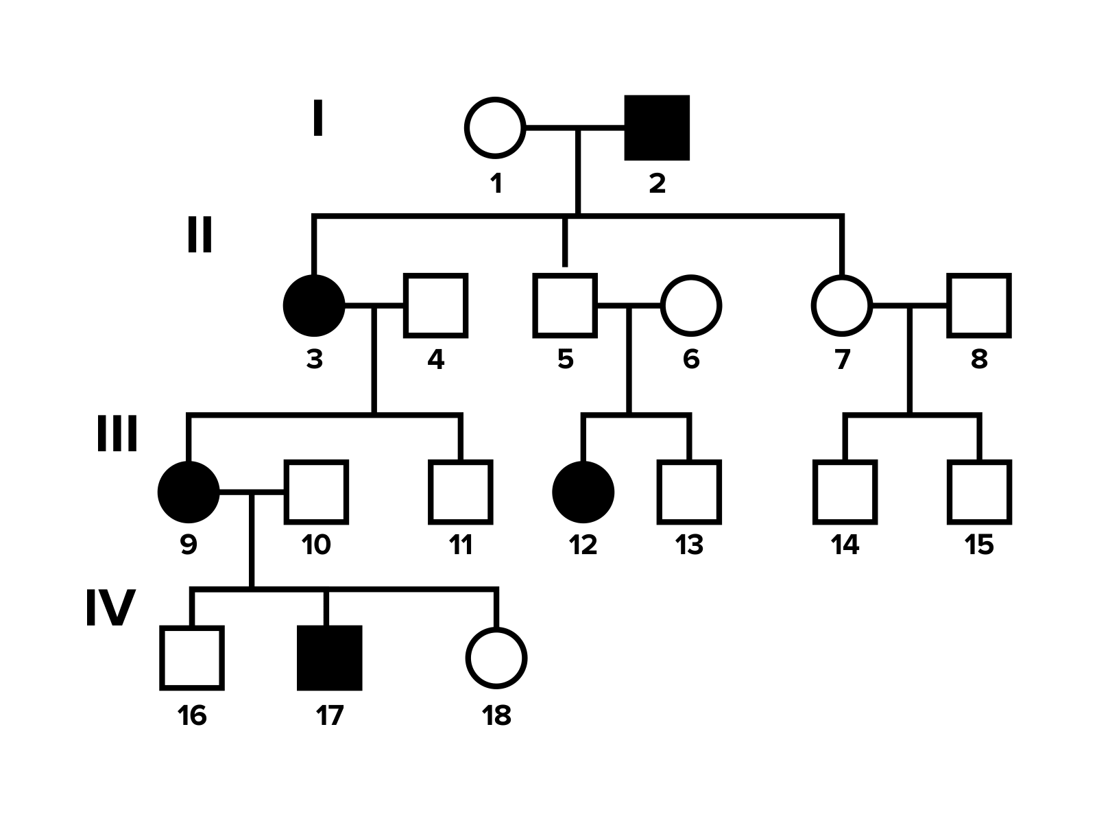 Genetics and Evolution for the MCAT: Everything You Need to Know ...
