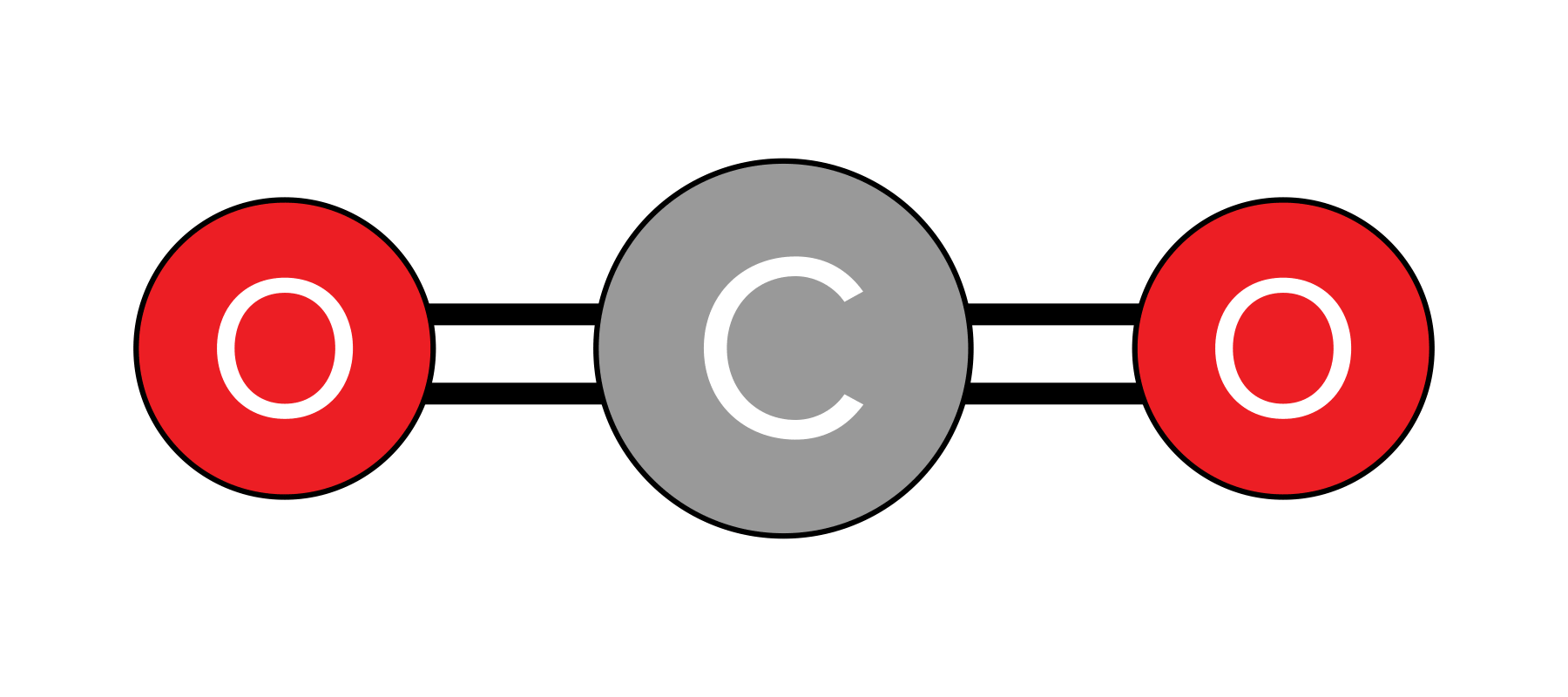Bonds and Interactions for the MCAT: Everything You Need to Know ...