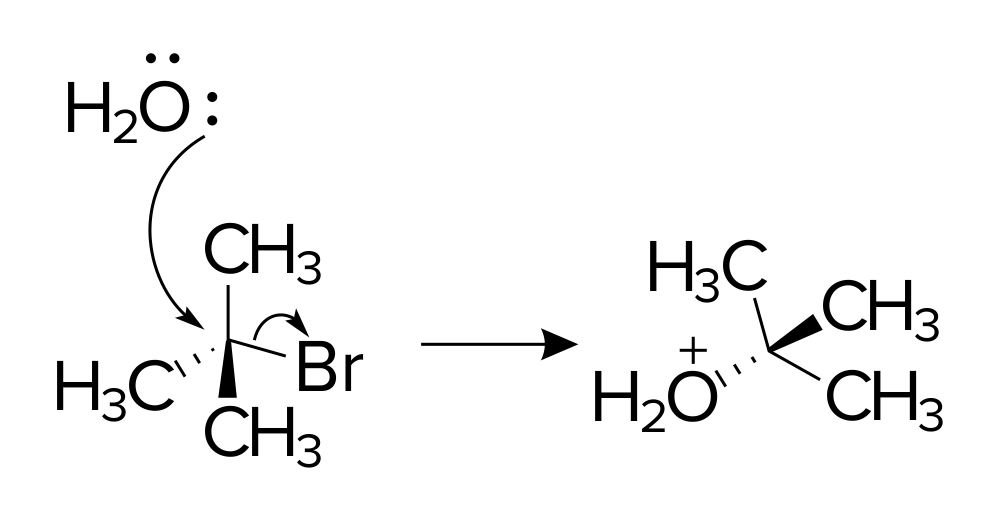 Fundamentals of Organic Chemistry for the MCAT: Everything You Need to ...