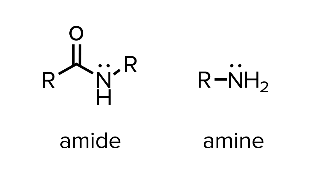 Important Functional Groups for the MCAT: Everything You Need to Know ...