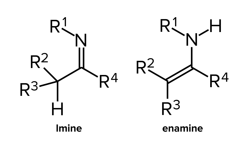 Important Functional Groups for the MCAT: Everything You Need to Know ...