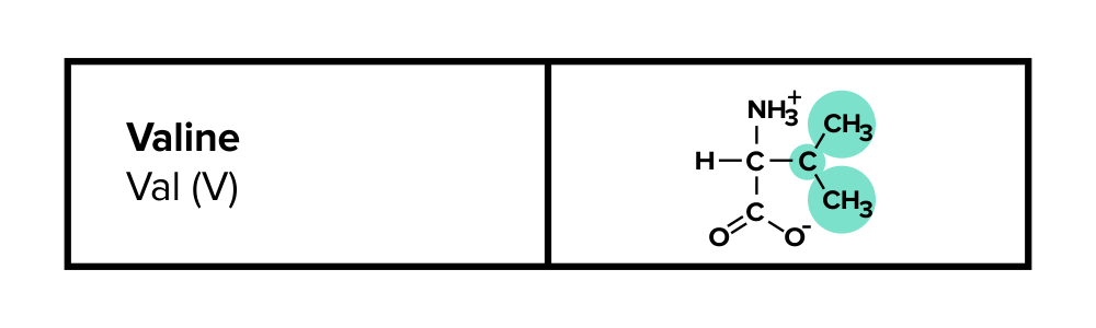 Important Functional Groups for the MCAT: Everything You Need to Know ...