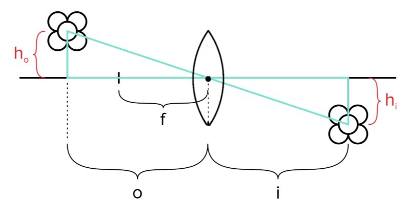 Light and Optics for the MCAT: Everything You Need to Know ...