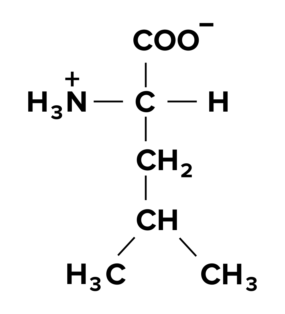Reactions and Separations for the MCAT: Everything You Need to Know ...