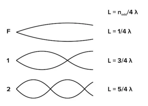 Waves and Sound for the MCAT: Everything You Need to Know — Shemmassian ...