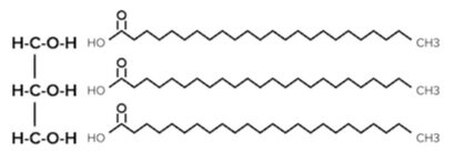 Lipids and Membranes for the MCAT: Everything You Need to Know ...
