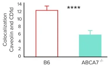 Lipids and Membranes for the MCAT: Everything You Need to Know ...