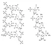 RNA for the MCAT: Everything You Need to Know — Shemmassian Academic ...