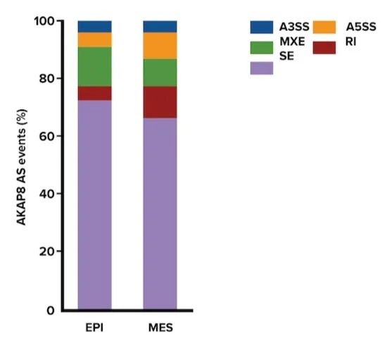 RNA for the MCAT: Everything You Need to Know — Shemmassian Academic ...