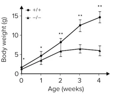 The Endocrine System for the MCAT: Everything You Need to Know ...