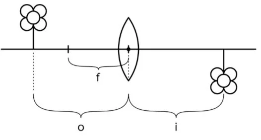 Math for the MCAT: Everything You Need to Know — Shemmassian Academic ...