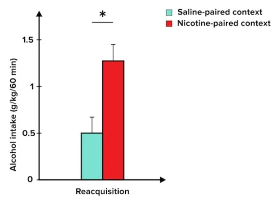 Learning and Memory for the MCAT: Everything You Need to Know ...