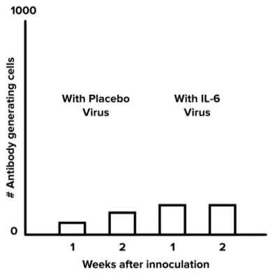 Immune System for the MCAT: Everything You Need to Know — Shemmassian ...