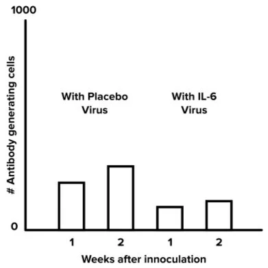 Immune System for the MCAT: Everything You Need to Know — Shemmassian ...