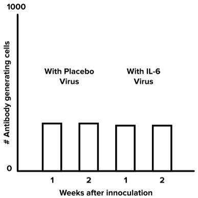 Immune System for the MCAT: Everything You Need to Know — Shemmassian ...