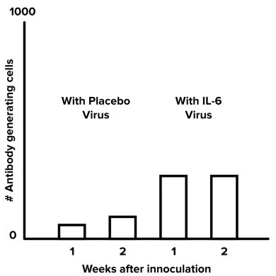 Immune System for the MCAT: Everything You Need to Know — Shemmassian ...