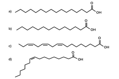 Lipid and Amino Acid Metabolism for the MCAT: Everything You Need to ...