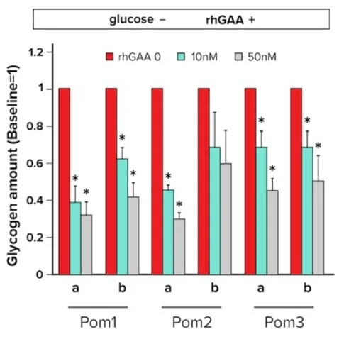 Carbohydrates for the MCAT: Everything You Need to Know — Shemmassian ...